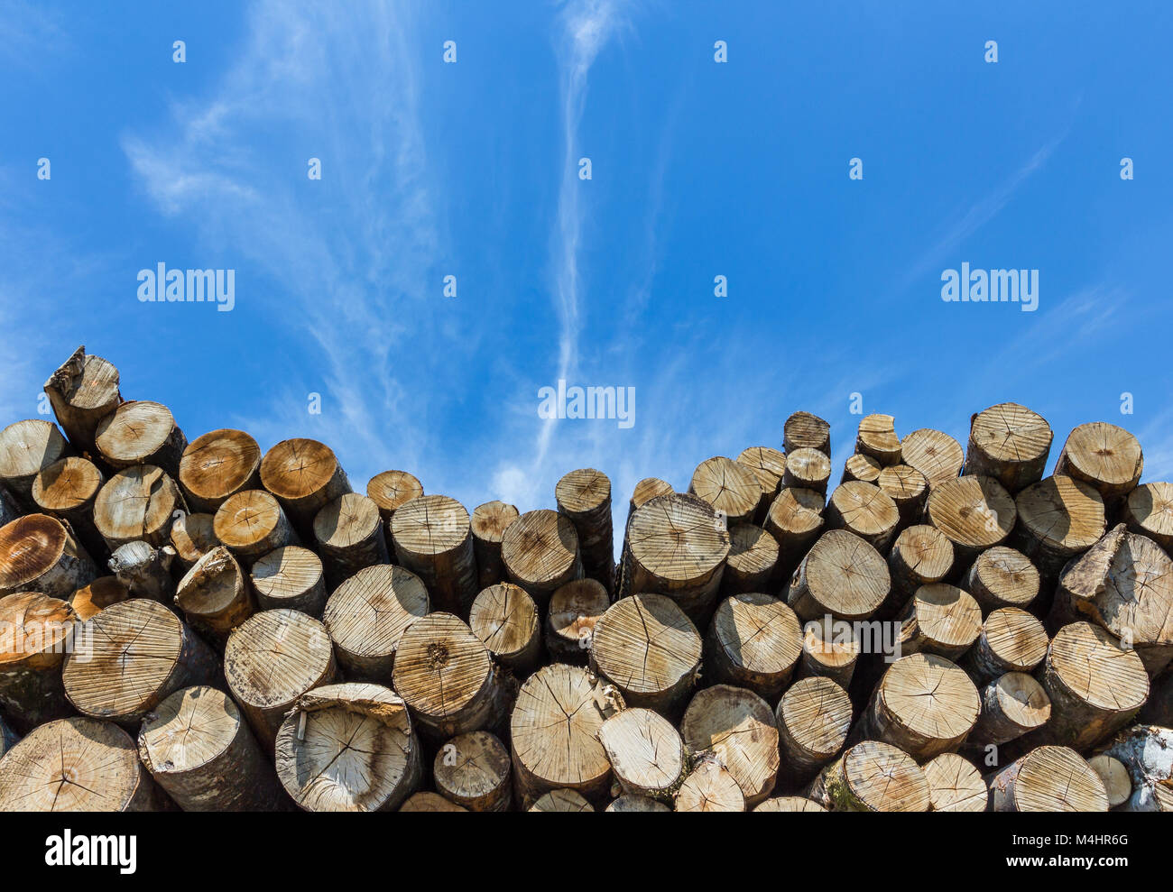 Stack of cut timber Stock Photo - Alamy