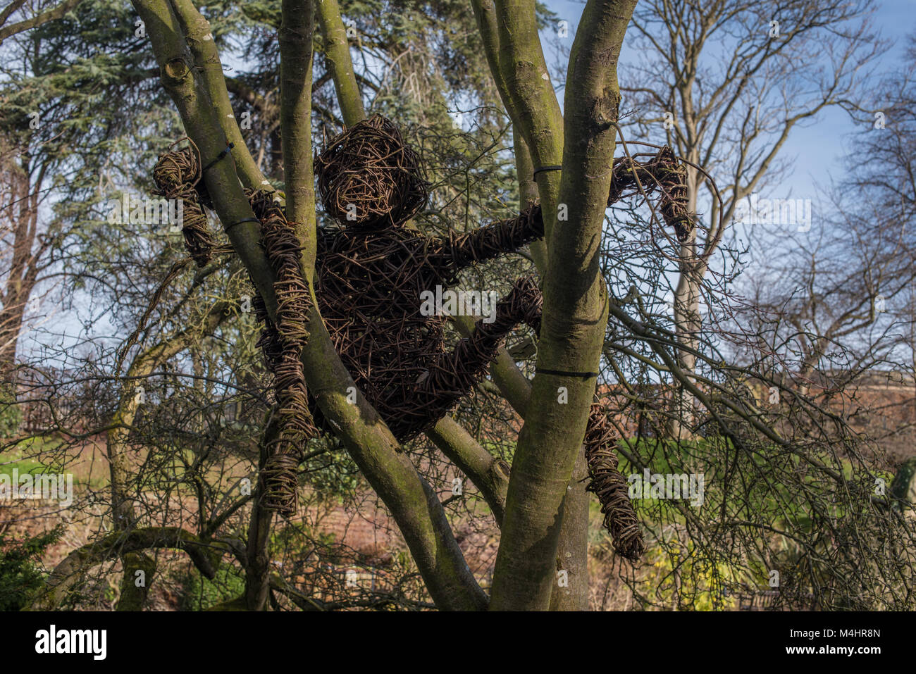 Hand made wicker monkey sitting in a tree amongst spring flowers in the ...