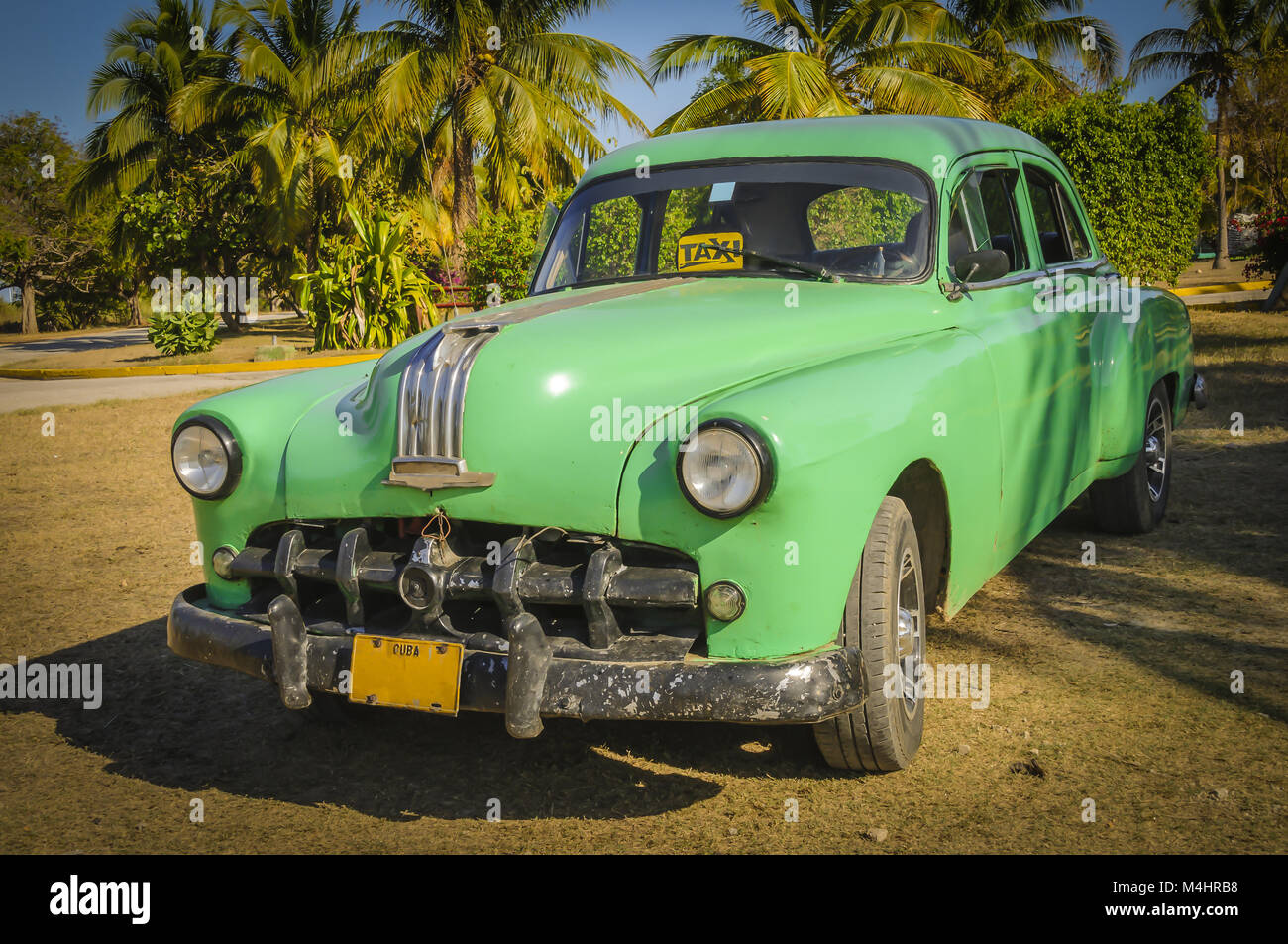 Old car under palm trees Stock Photo - Alamy