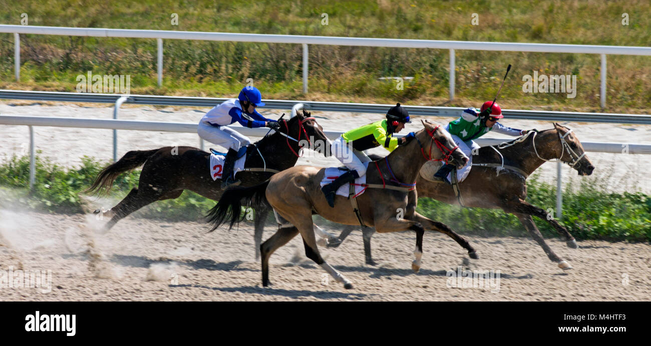 Russian racehorse hi-res stock photography and images - Alamy