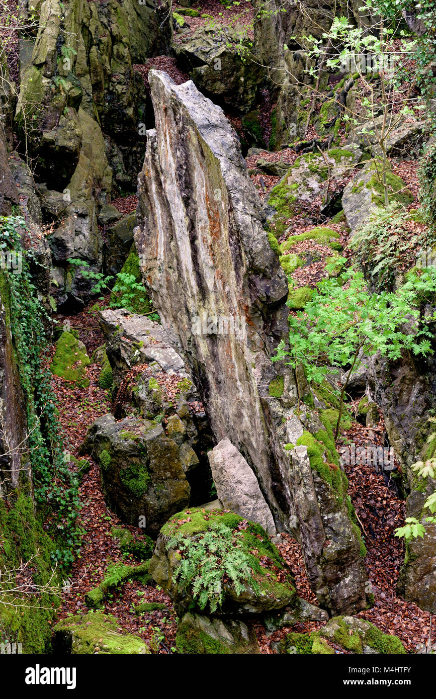 Nature reserve Felsenmeer, rugged boulders, North Rhine-Westphalia ...