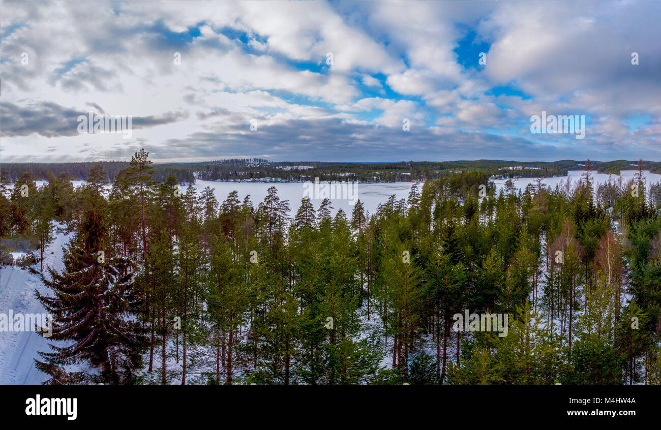 Forest and frozen landscape in winter with snow covered ground Stock ...