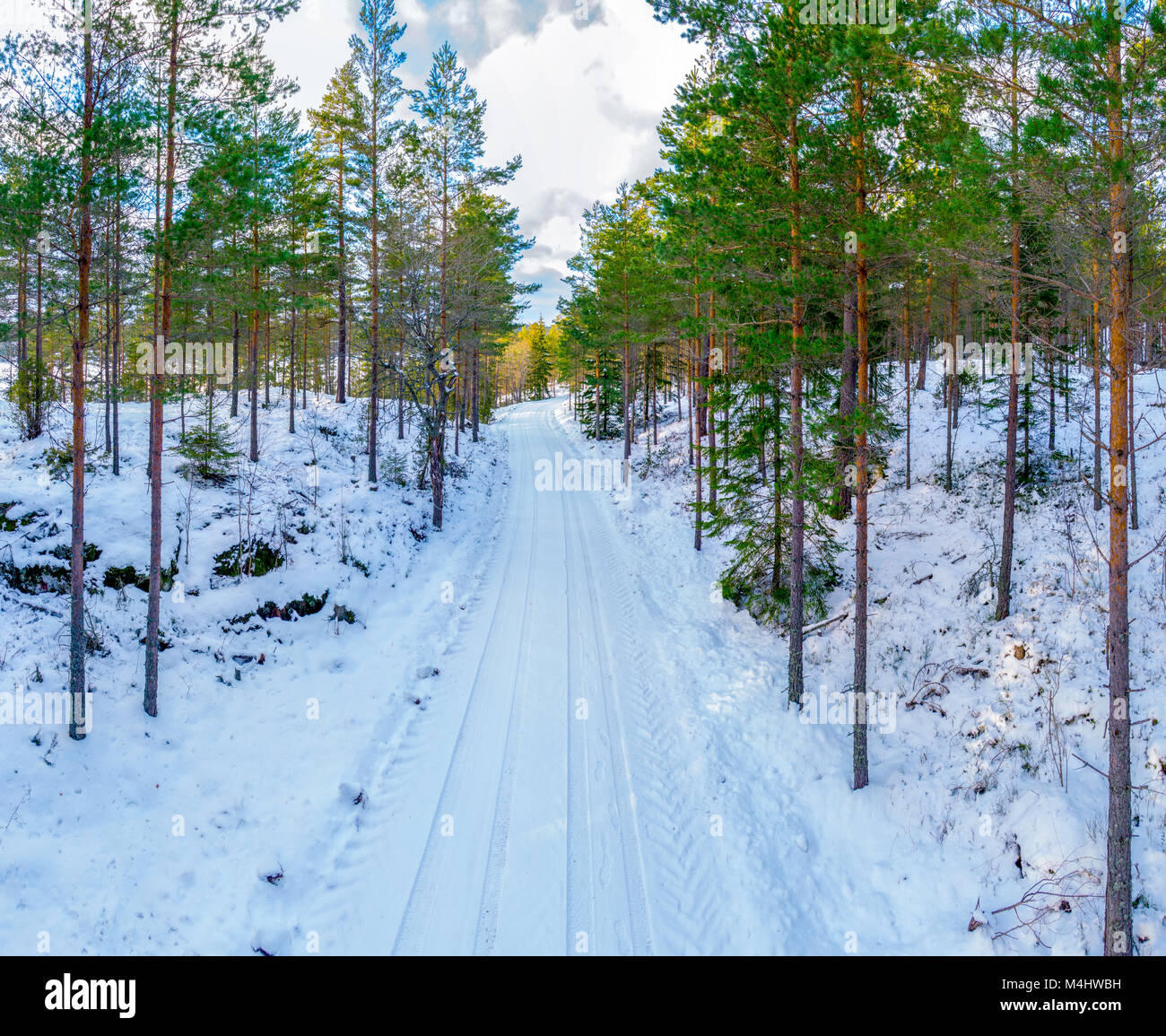 Forest and frozen landscape in winter with snow covered ground Stock ...