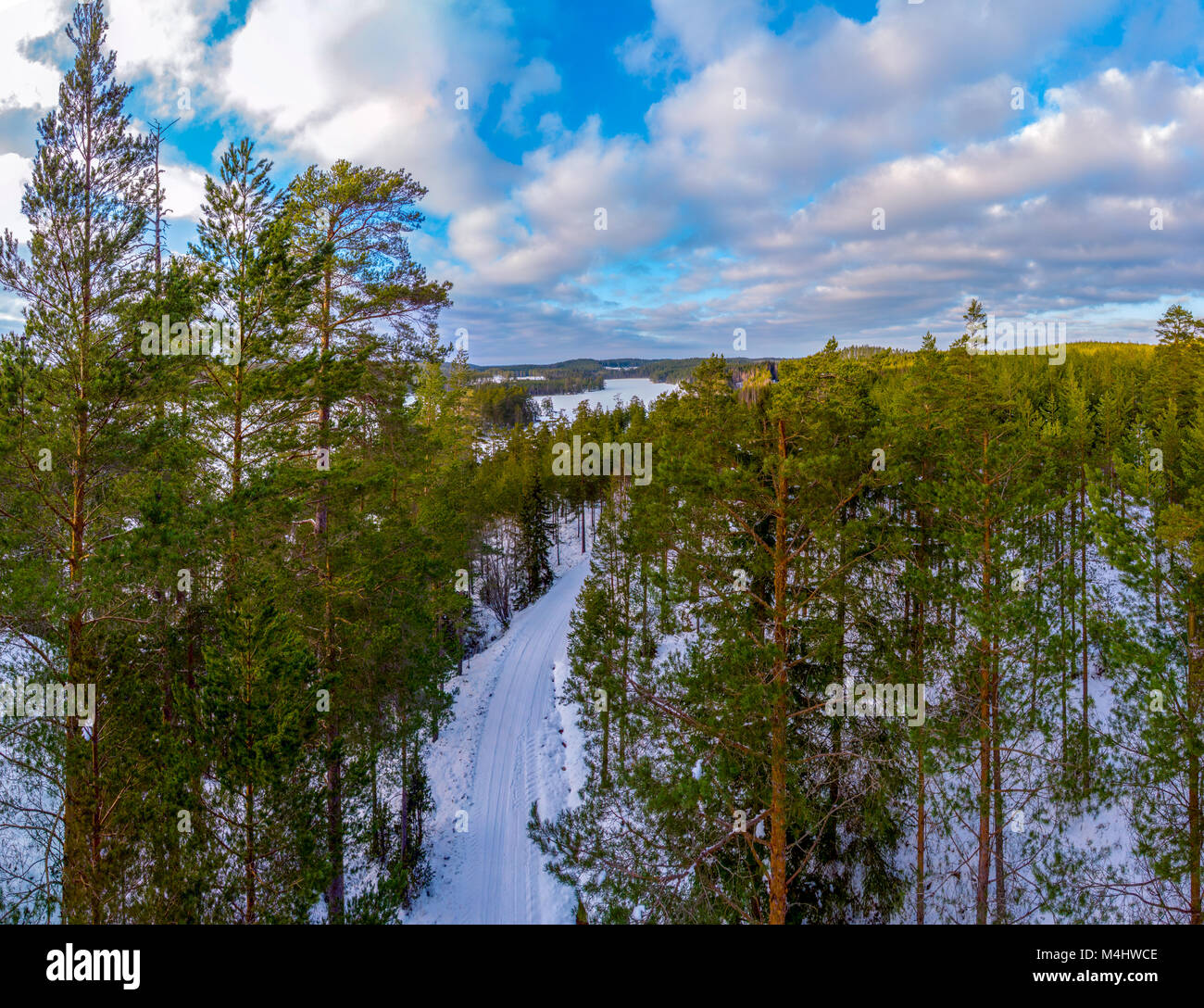 Forest and frozen landscape in winter with snow covered ground Stock ...