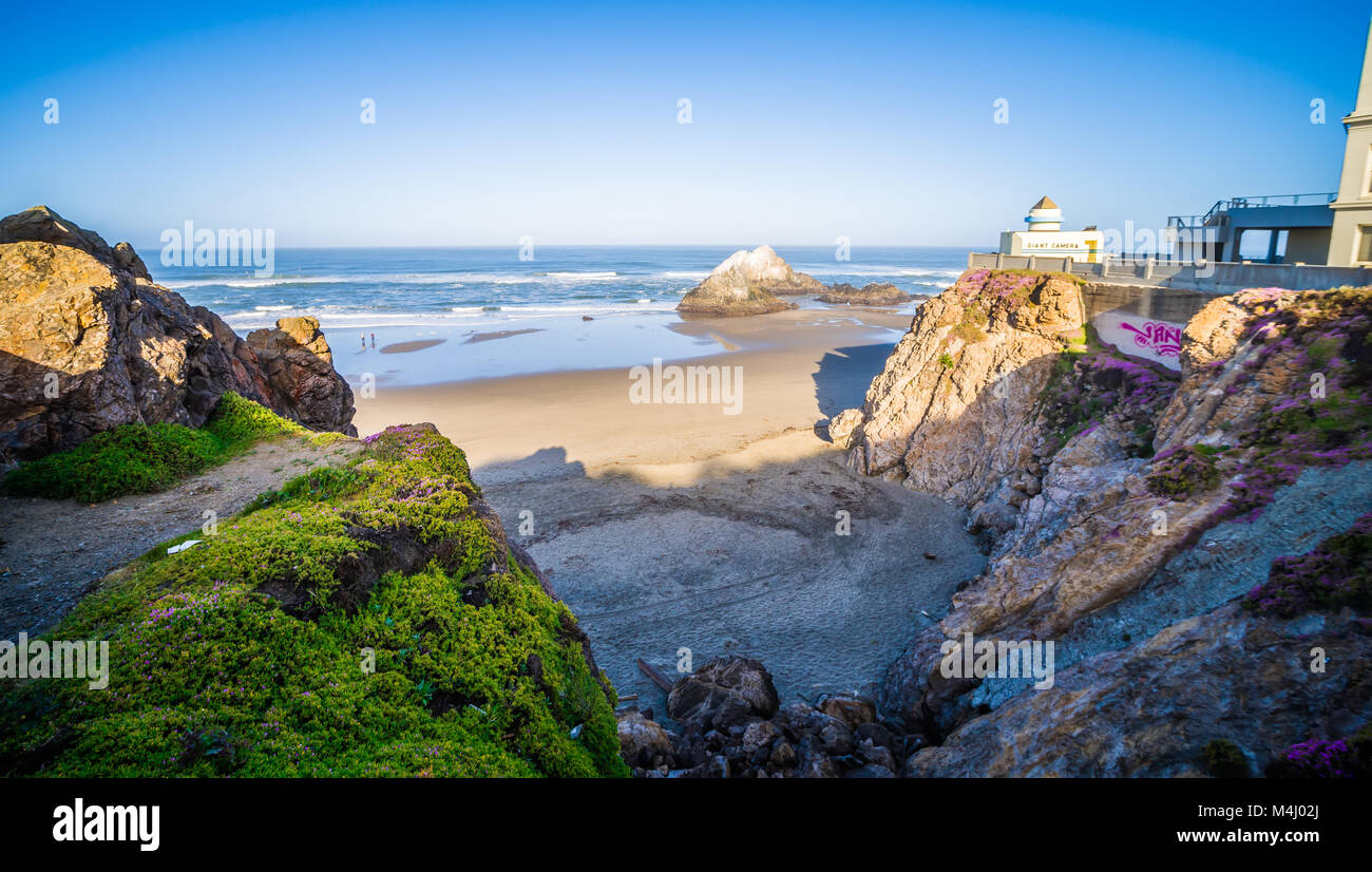Sand shore ocean in hi-res stock photography and images - Alamy
