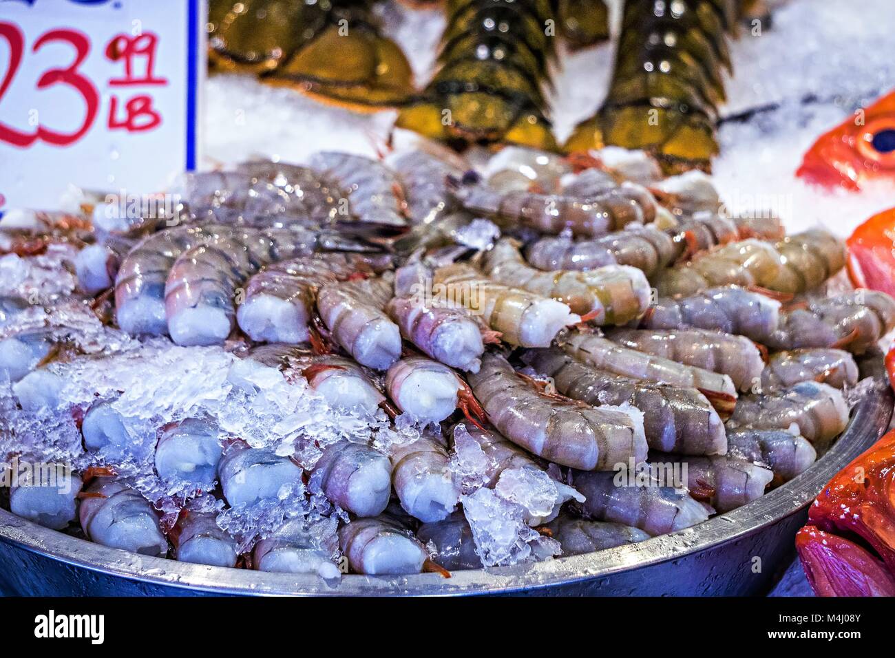 jumbo giant shrimp on display at pike market Stock Photo - Alamy