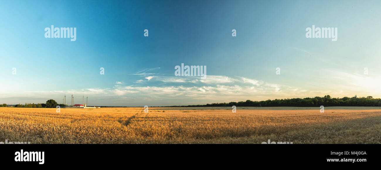 Beautiful wheat fields hi-res stock photography and images - Alamy