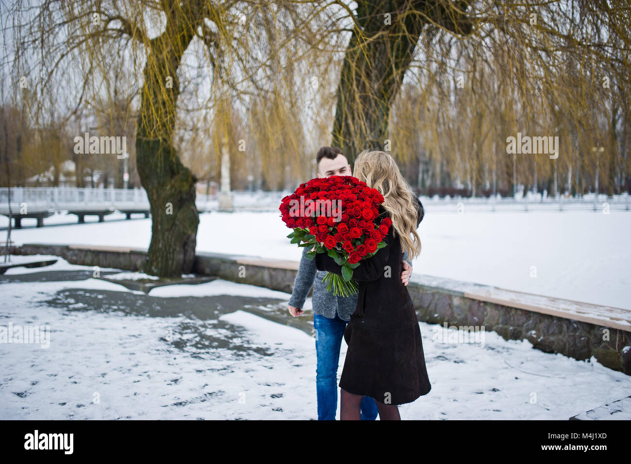 Married proposal with 101 rose at winter day. Loving couple Stock Photo ...