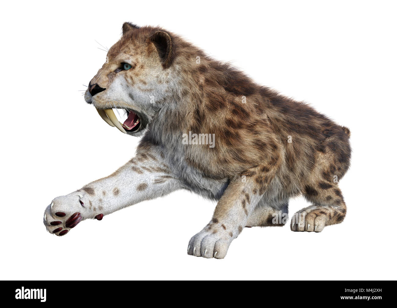 3D rendering of a sabertooth tiger isolated on white background Stock ...