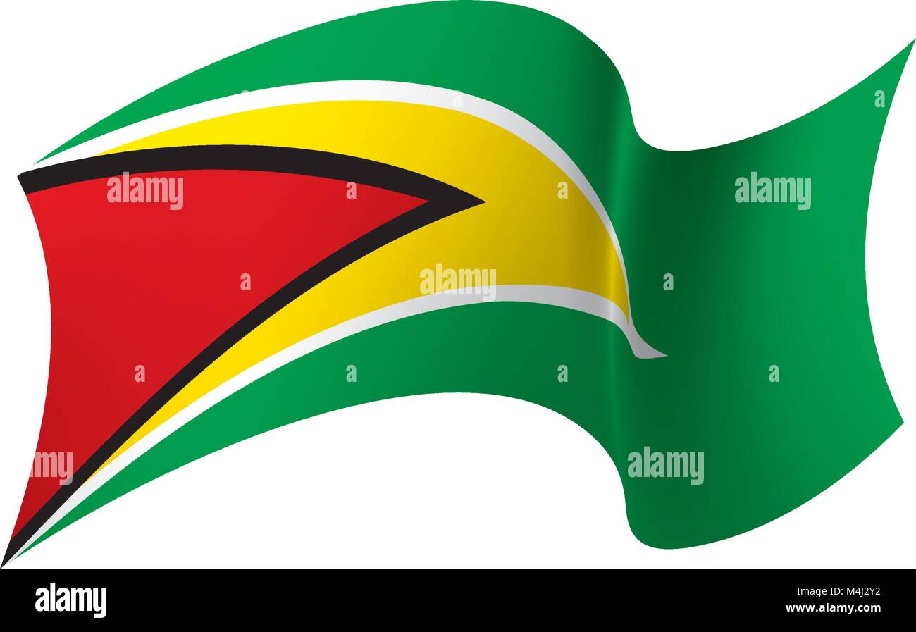 Guyana flag, vector illustration Stock Vector Image & Art - Alamy