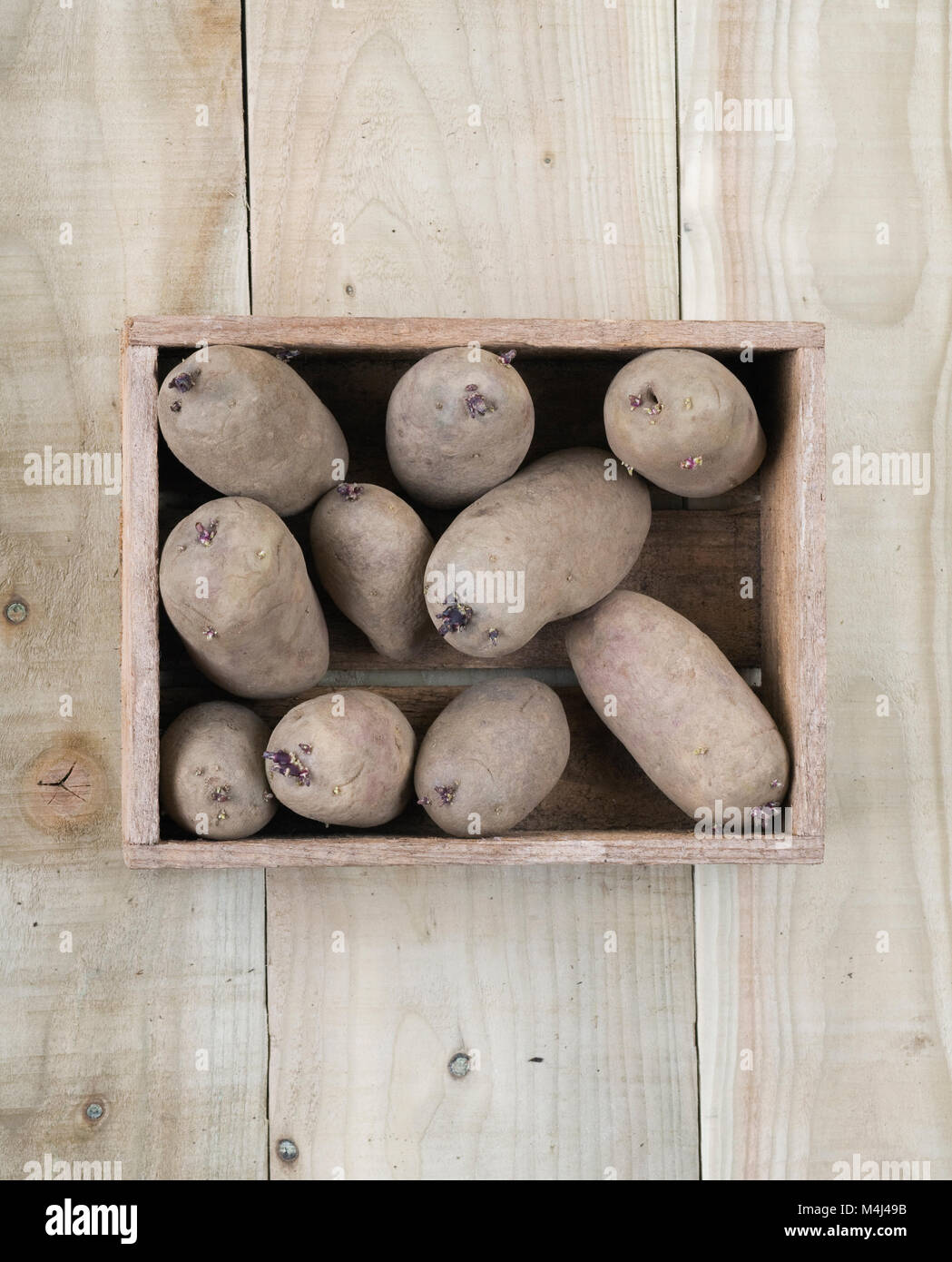 Potato eyes hi-res stock photography and images - Alamy