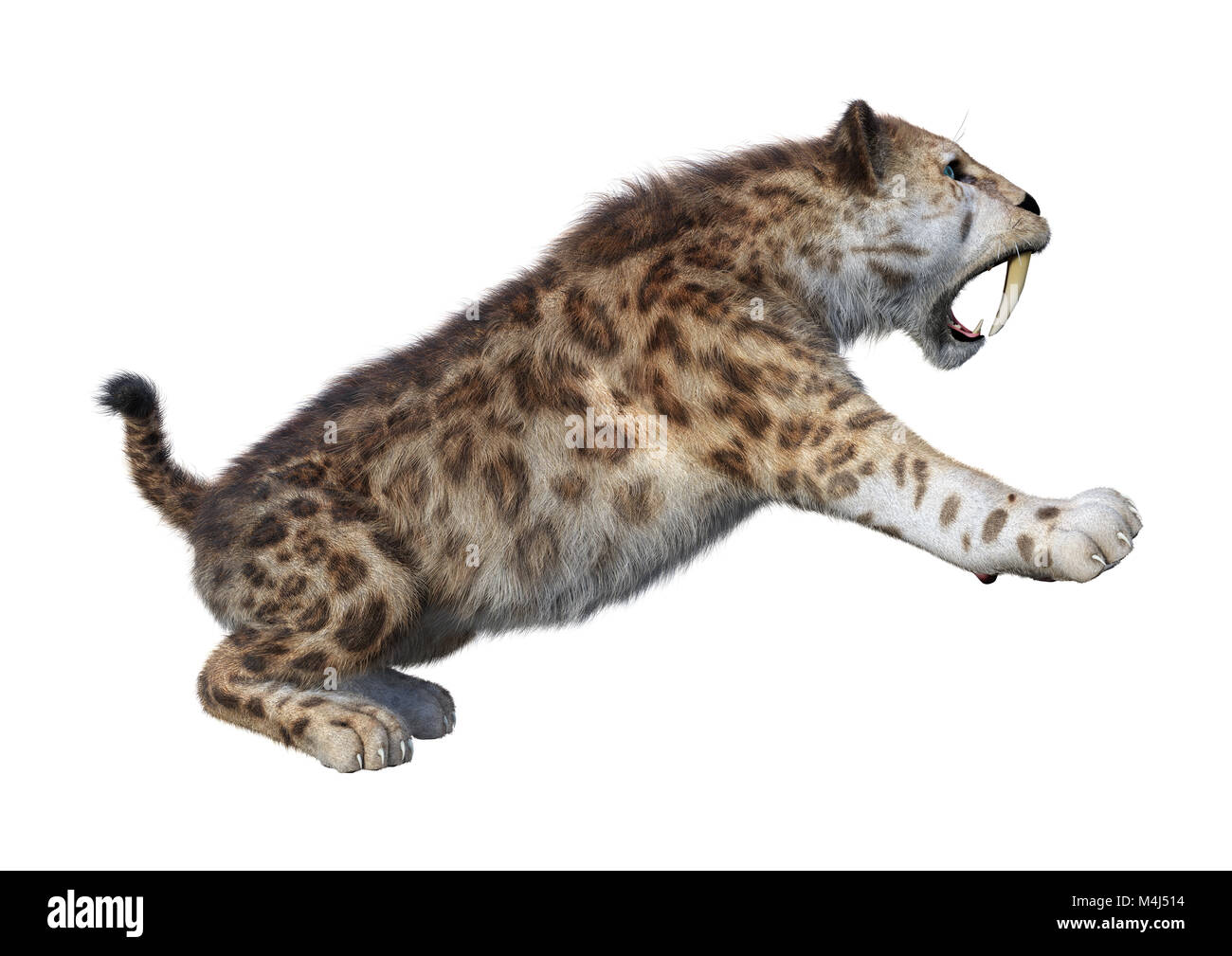 3D rendering of a sabertooth tiger isolated on white background Stock ...