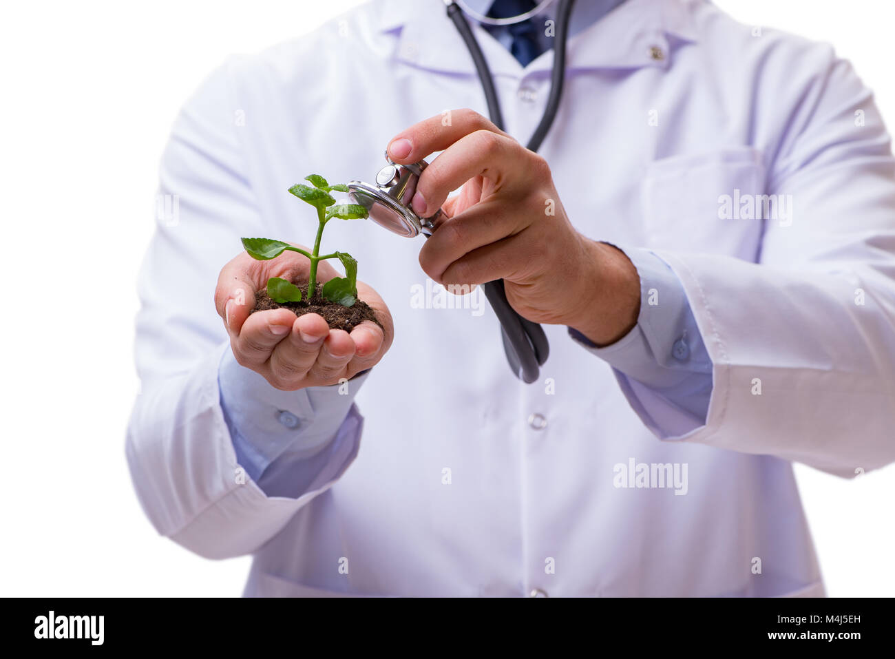 Scientist with green seedling in glass isolated on white Stock Photo ...