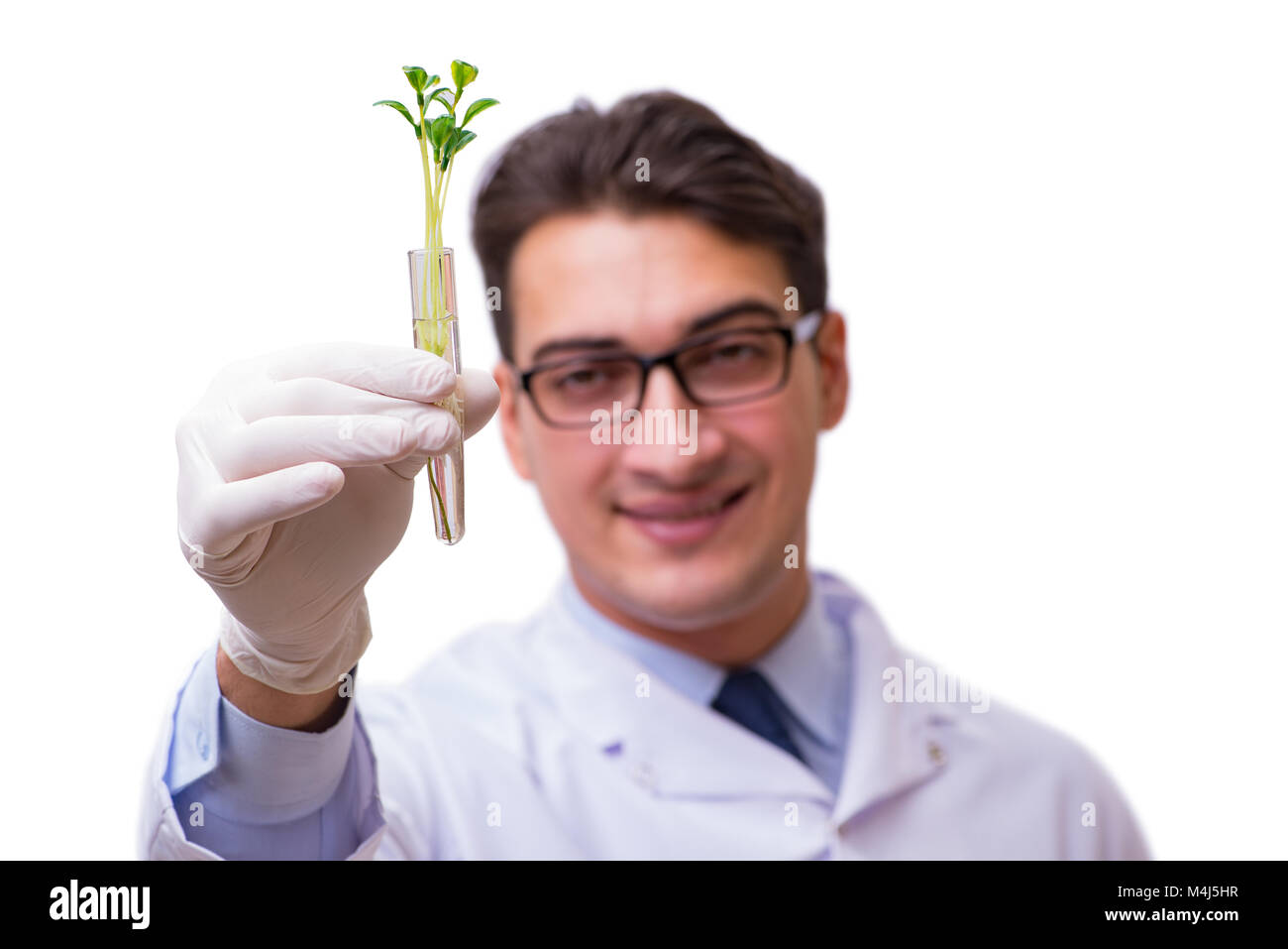 Scientist with green seedling in glass isolated on white Stock Photo ...