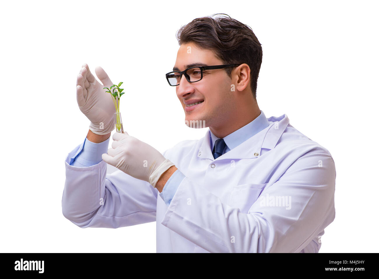 Scientist with green seedling in glass isolated on white Stock Photo ...
