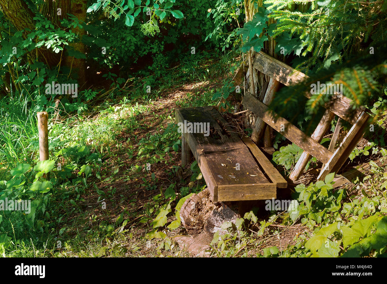 old Park bench by the water, broken wooden bench in the forest for ...