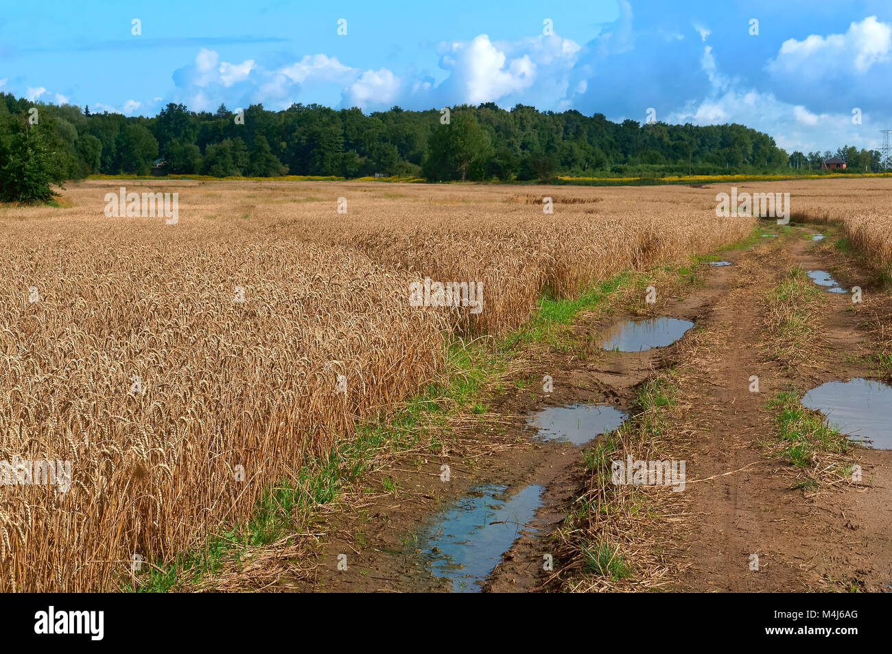 Wet farming land hi-res stock photography and images - Alamy