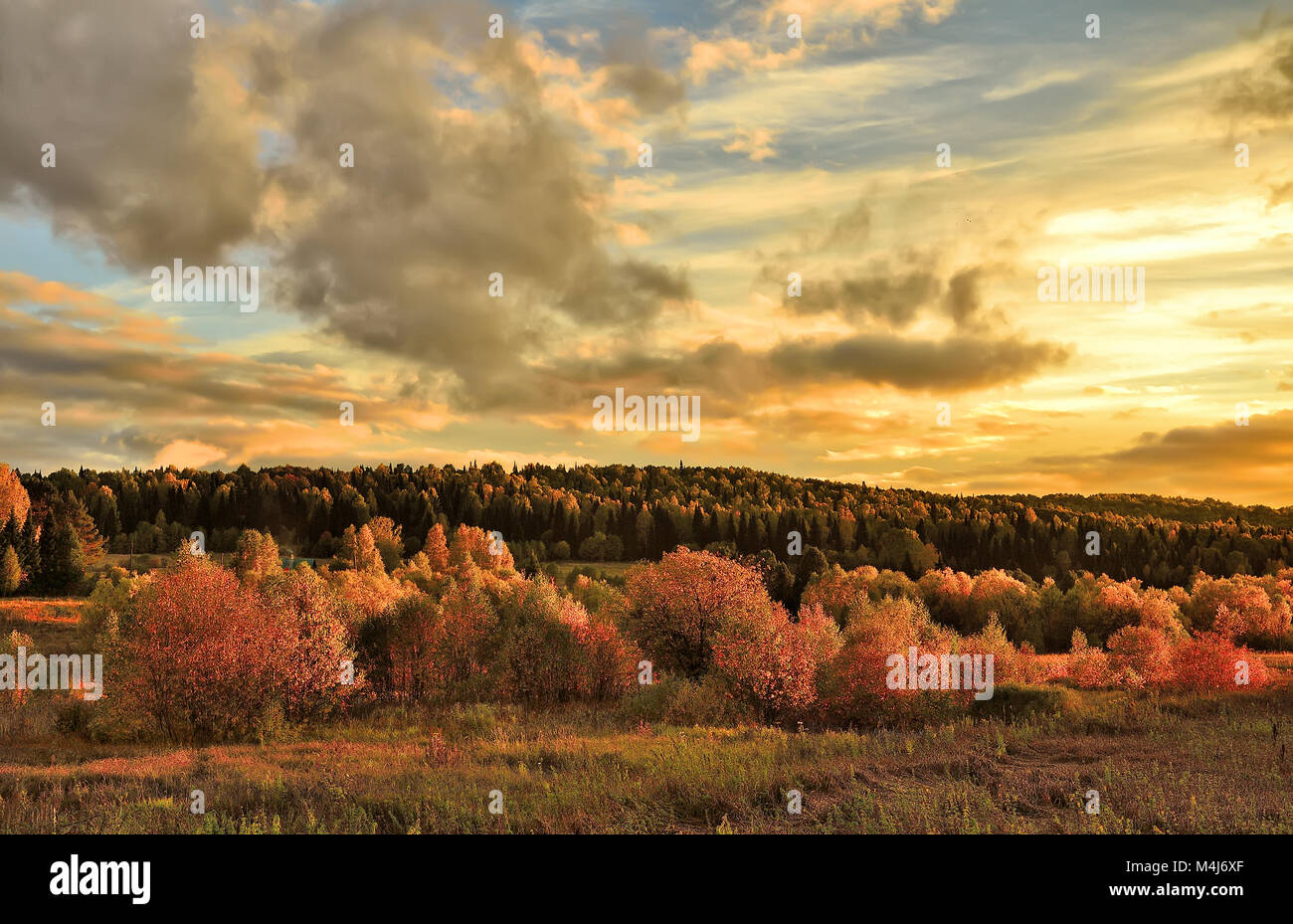 Rural autumn landscape hi-res stock photography and images - Alamy