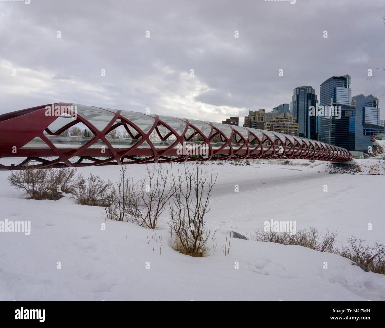 Peace Bridge Calgary Alberta Canada Stock Photo - Alamy