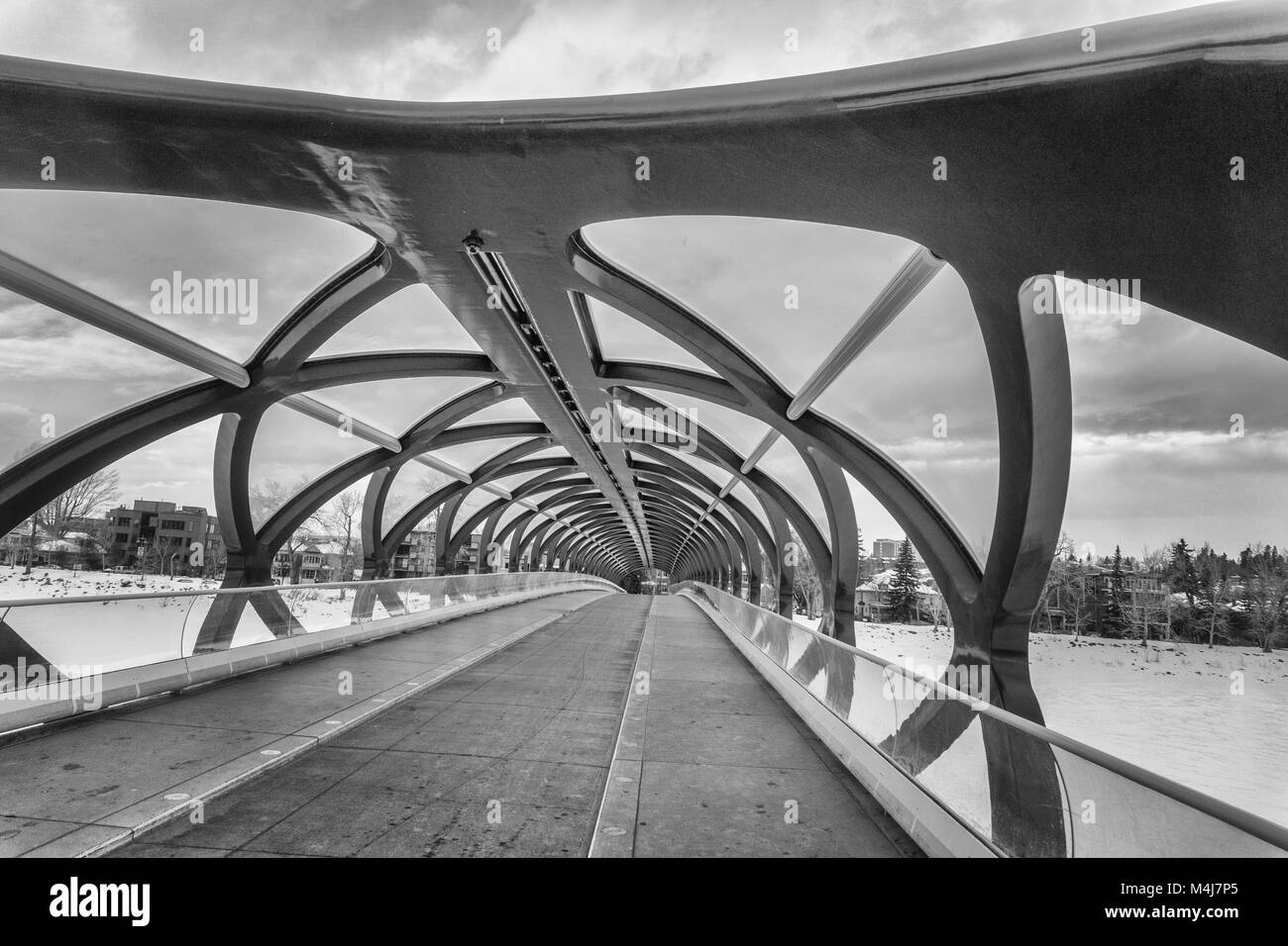 Peace Bridge Calgary Alberta Canada black and white Stock Photo - Alamy