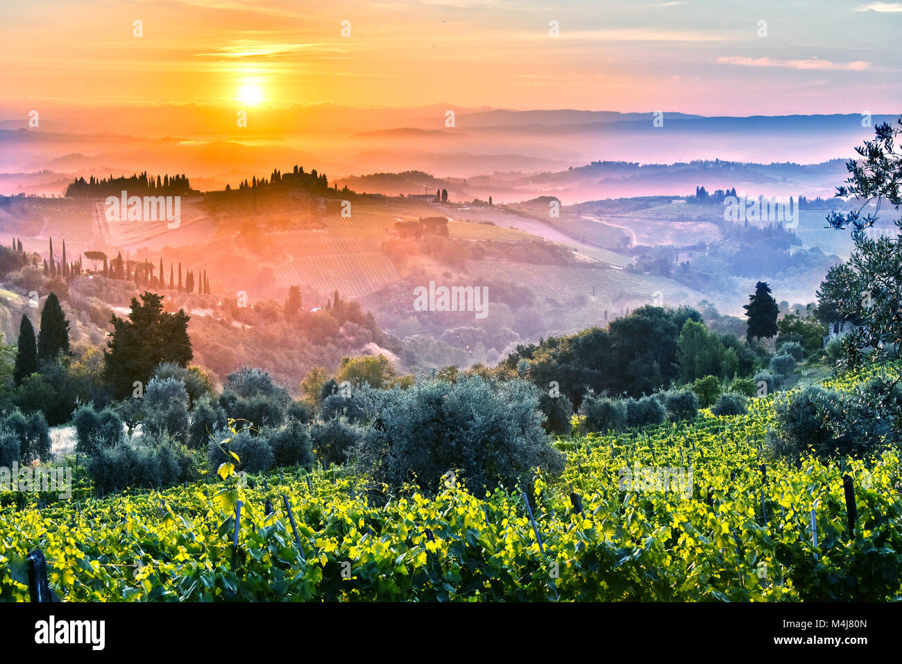 Landscape view of Tuscany Stock Photo - Alamy