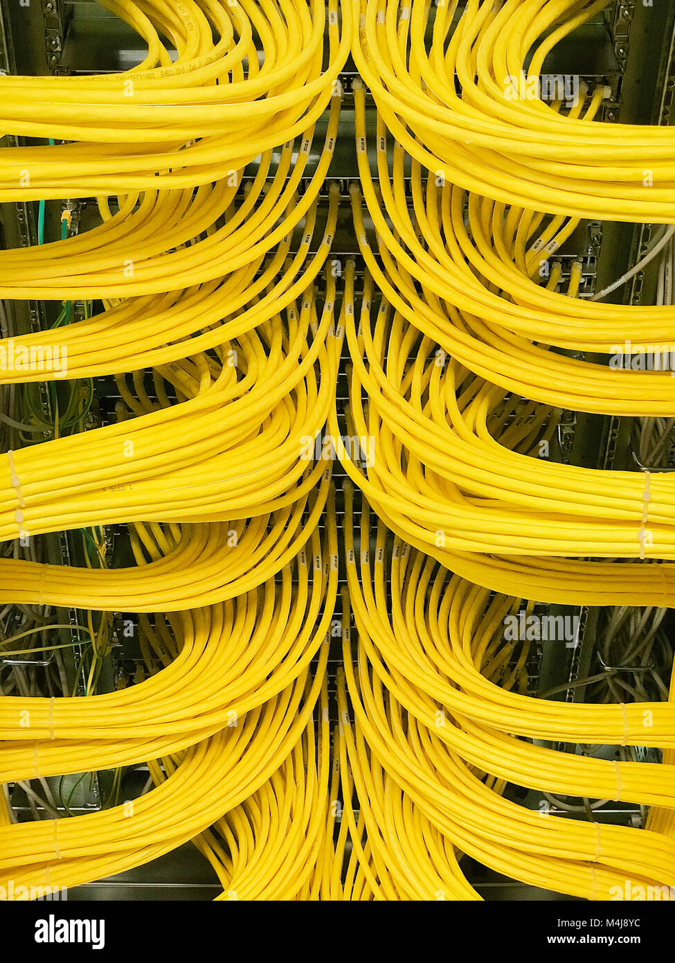 Network cable on a network HUB Stock Photo - Alamy