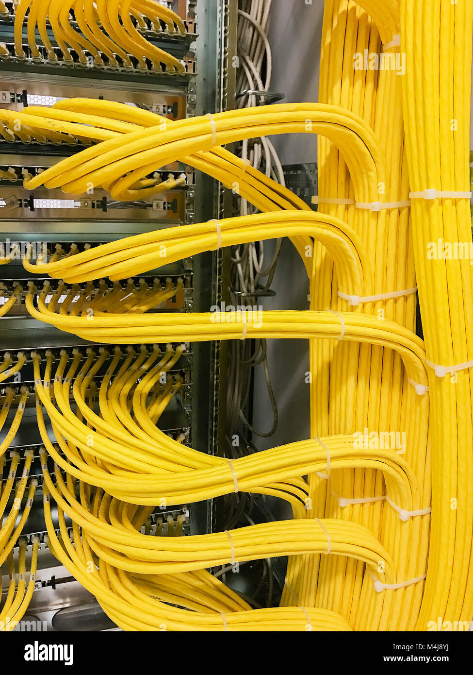 Network cable on a network HUB Stock Photo - Alamy