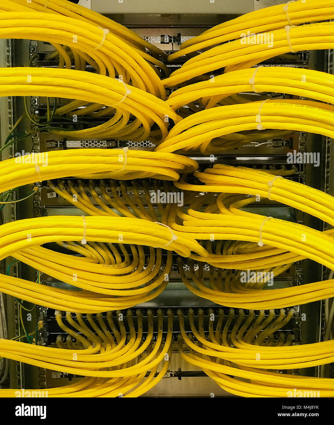 Network cable on a network HUB Stock Photo - Alamy