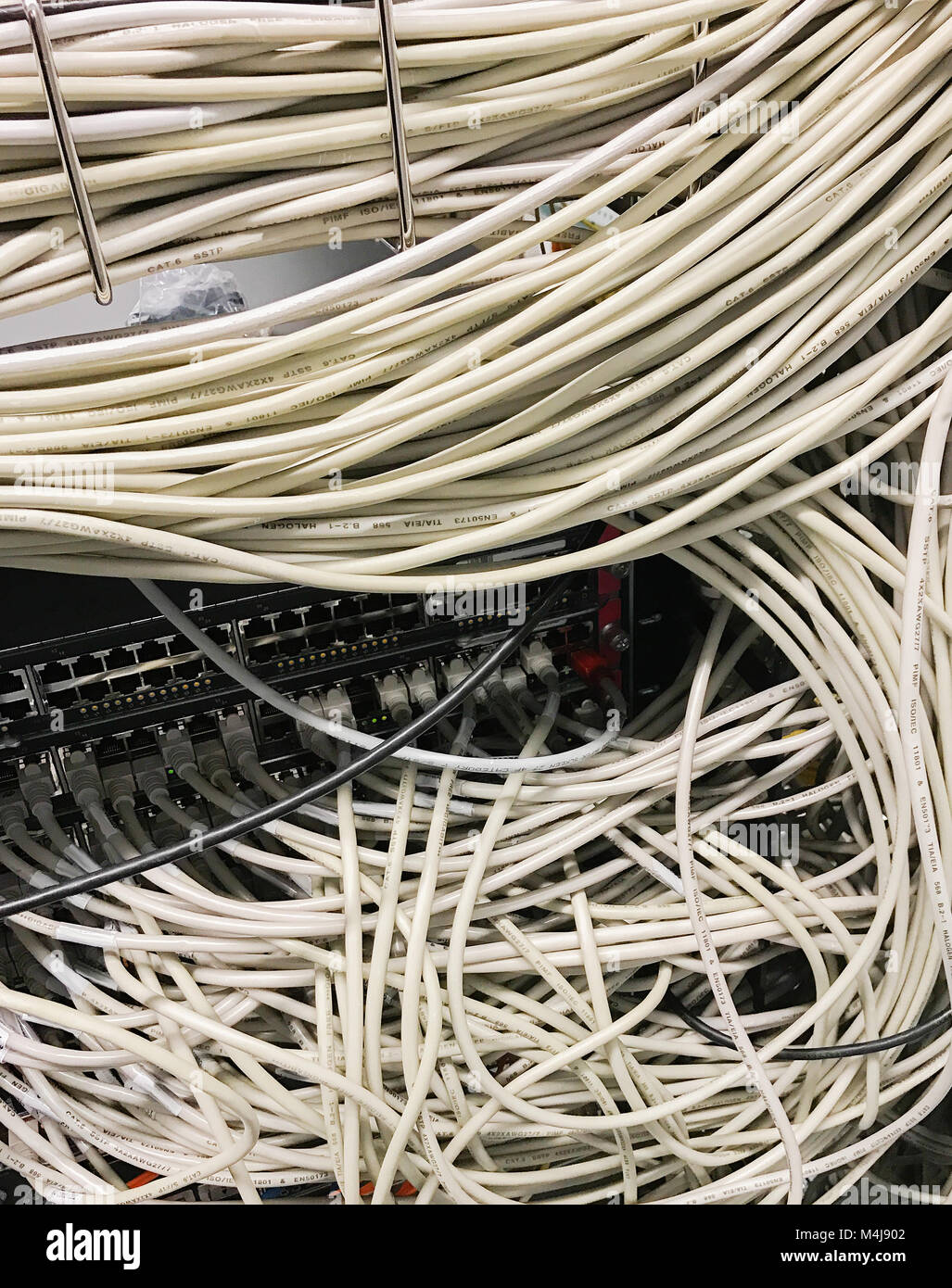 Network cable on a network HUB Stock Photo - Alamy