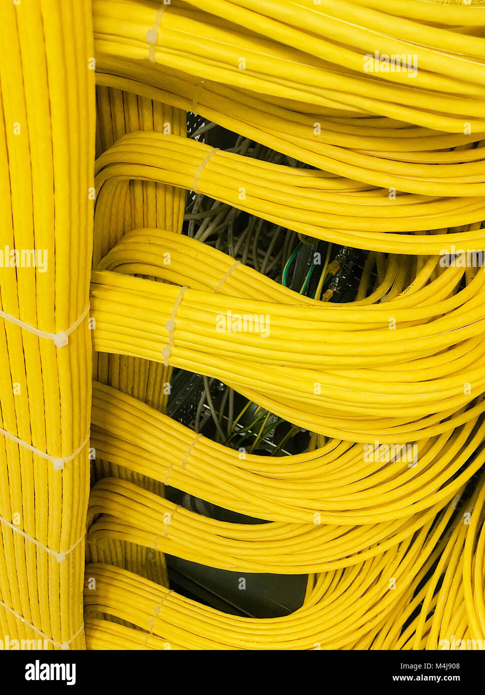 Network cable on a network HUB Stock Photo - Alamy