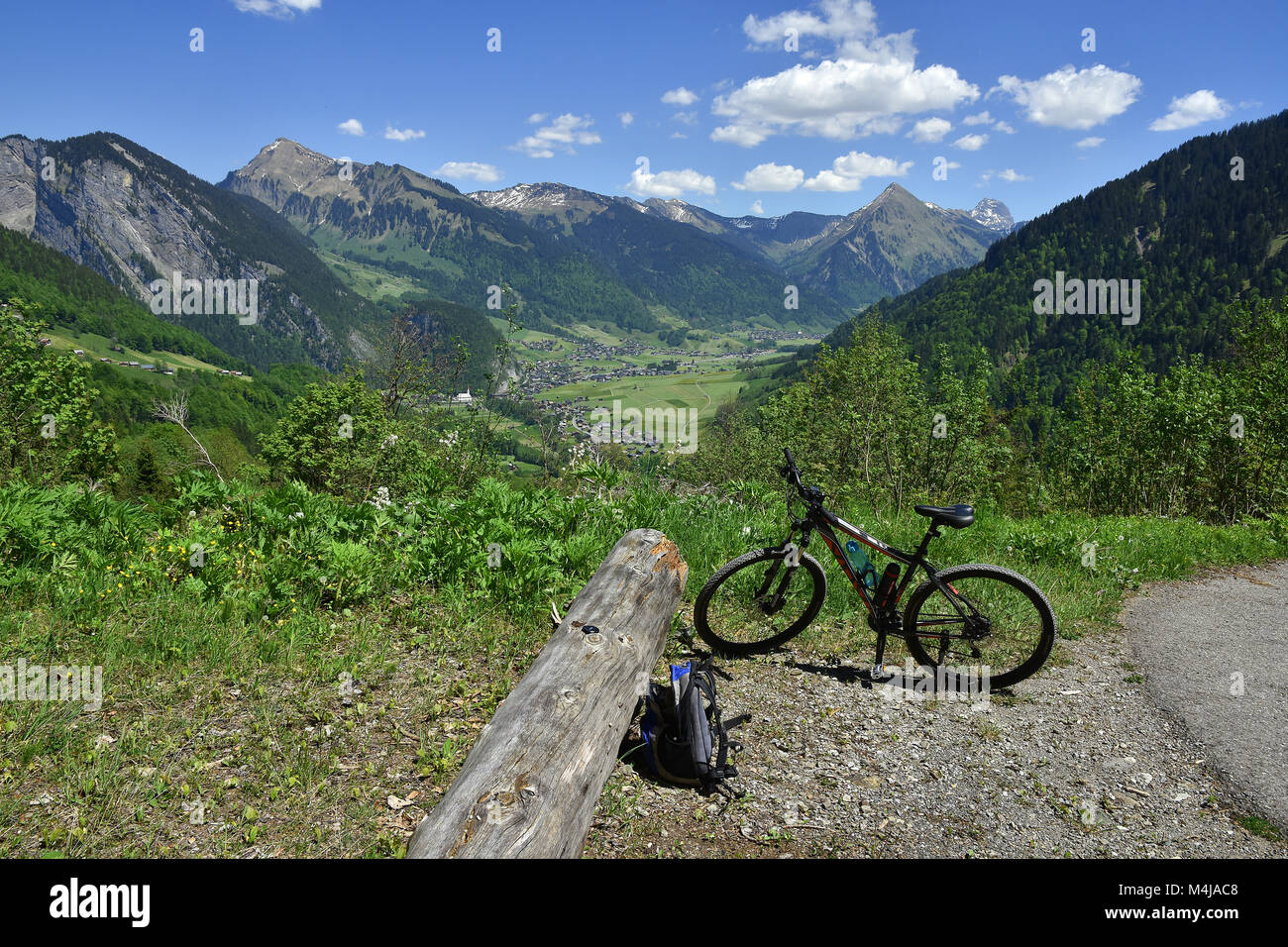 Bregenzerwald forest hi-res stock photography and images - Alamy
