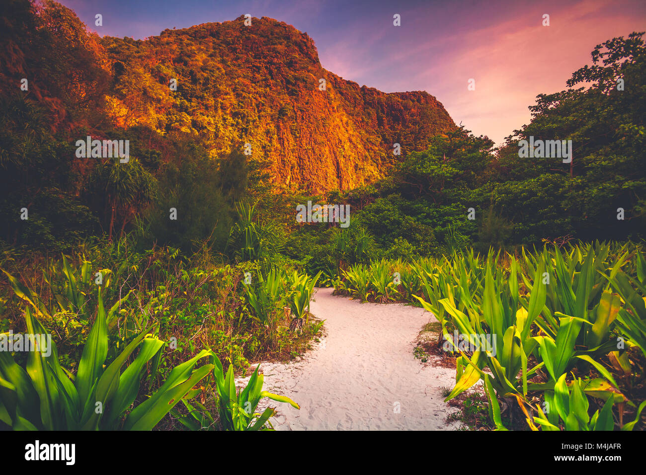 The pedestrian sand path in the wonderful green valley surrounded by ...