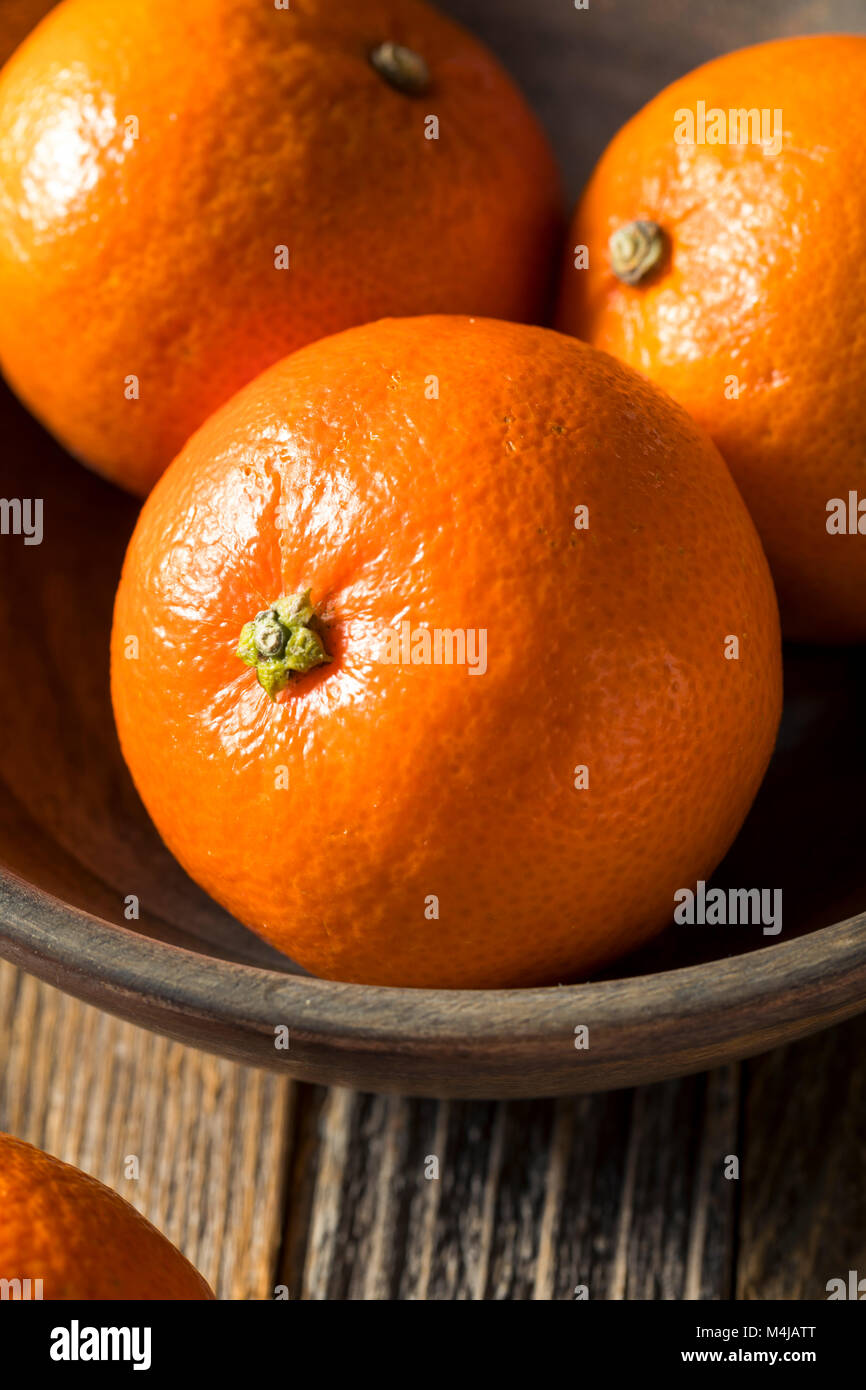 Raw Organic Ruby Tango Blood Orange Clementines Ready to Eat Stock ...