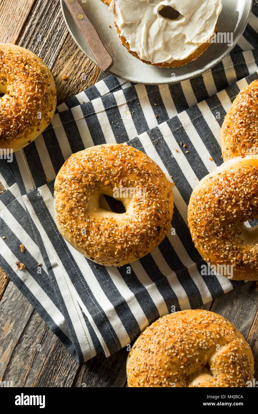 Round Warm Everything Bagels Ready to Eat Stock Photo - Alamy