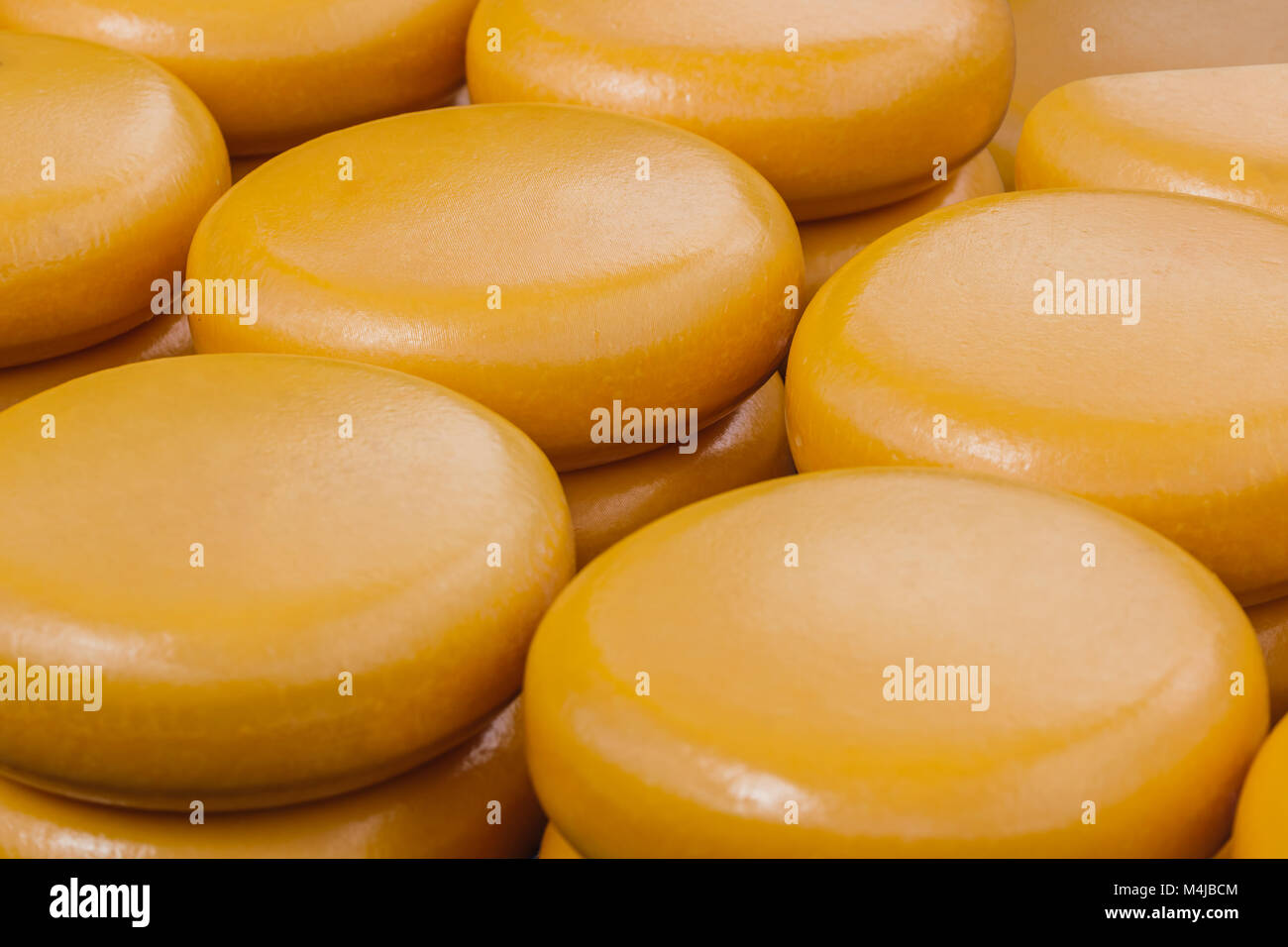 Cheese at traditional cheese market - Alkmaar Netherlands Stock Photo ...