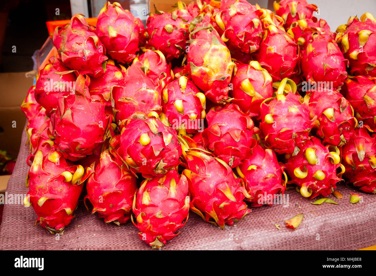 Pitaya cactus hi-res stock photography and images - Alamy
