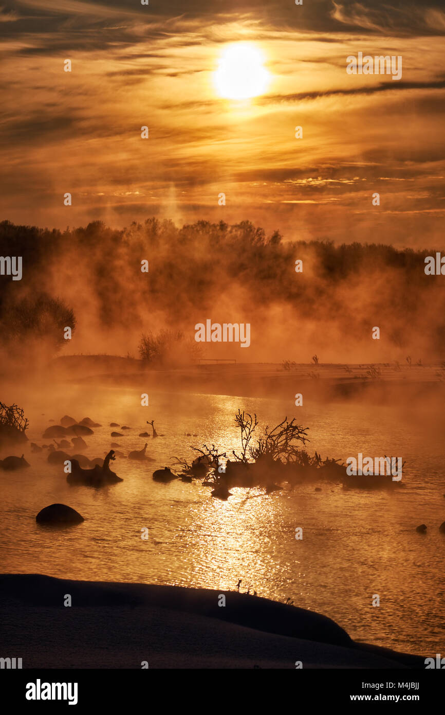 Snags in river water early hi-res stock photography and images - Alamy