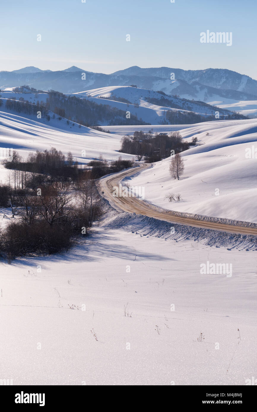 Landscape road under trees hi-res stock photography and images - Alamy