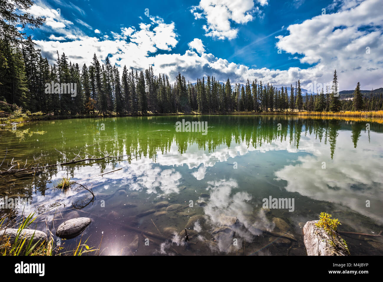 The round lake Stock Photo - Alamy