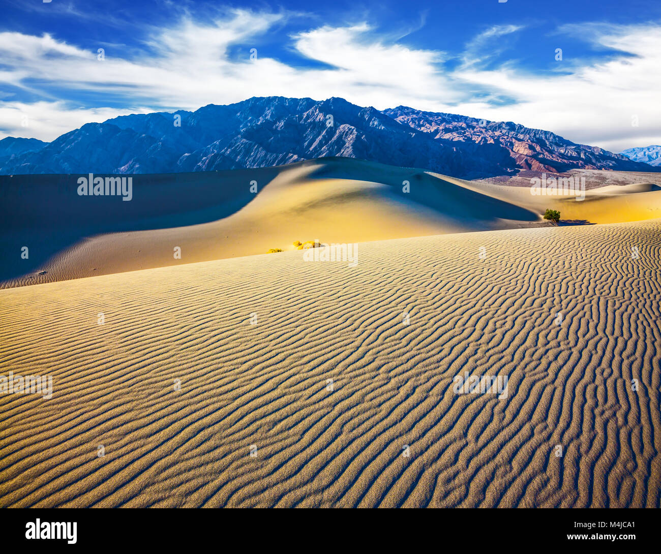 Windy morning hi-res stock photography and images - Alamy