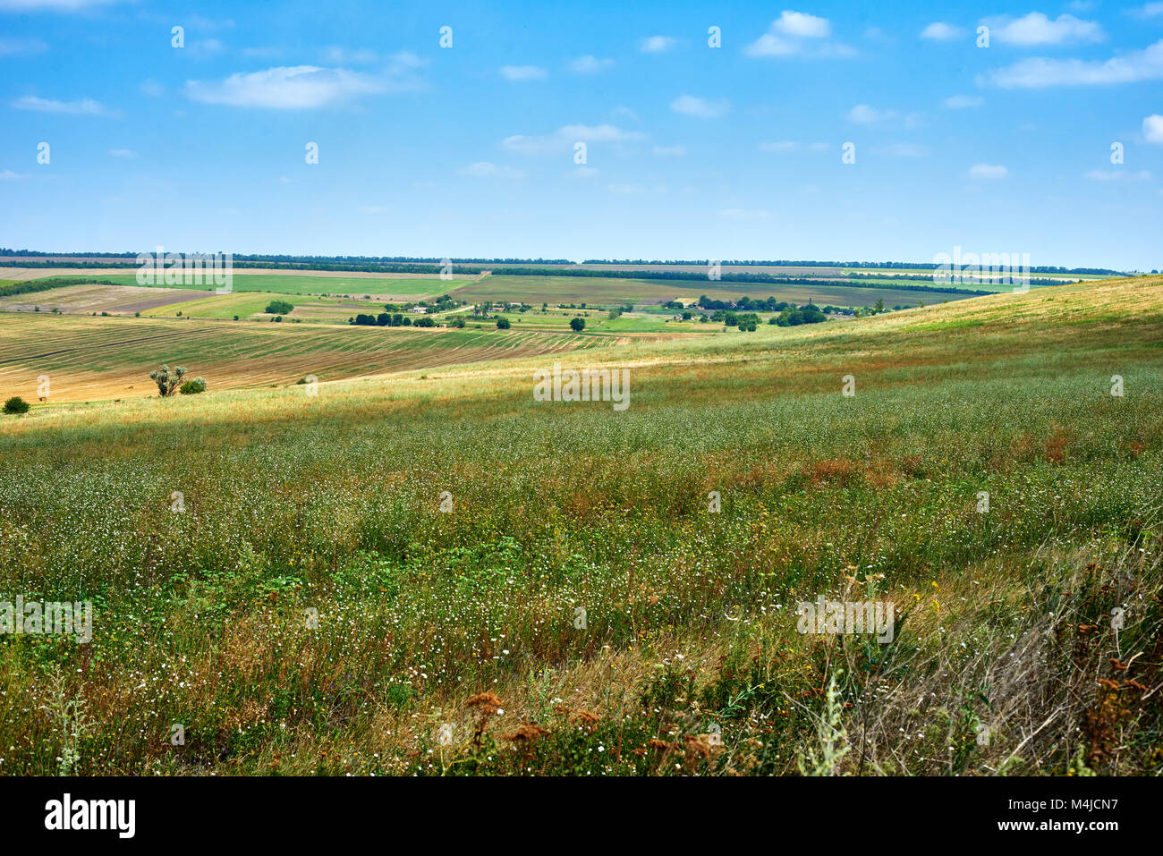 beautiful spring landscape, green field and bright cloudy sky Stock ...