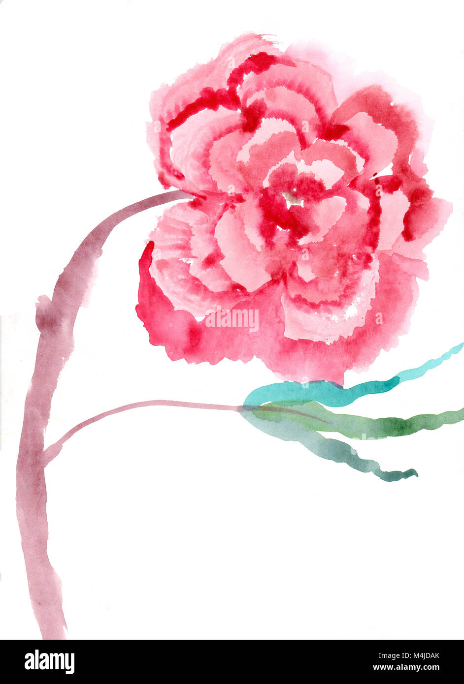 Poppy drawing hi-res stock photography and images - Alamy