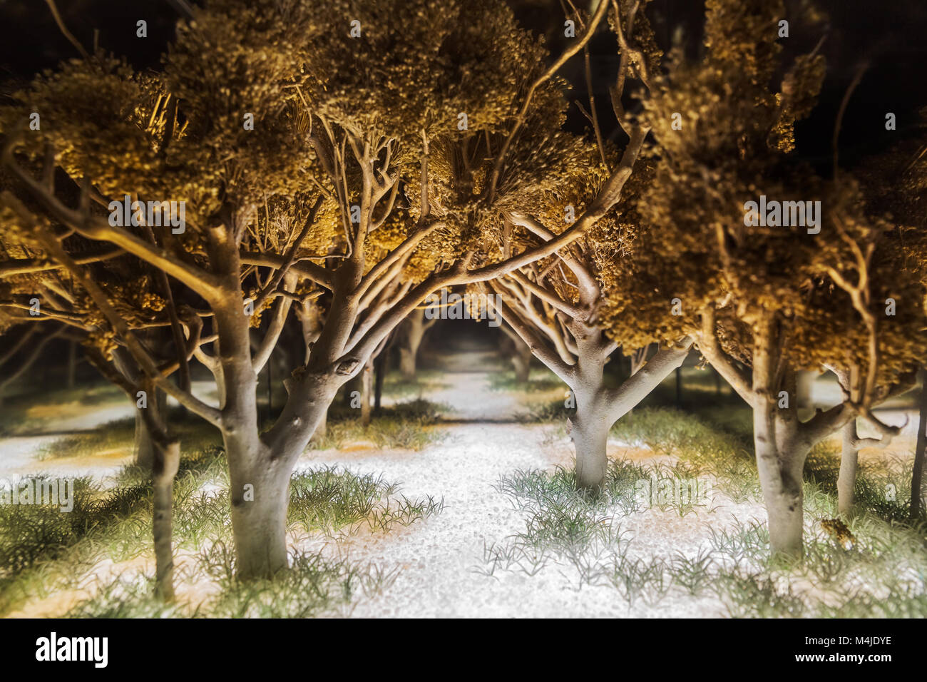 Dark magic hi-res stock photography and images - Alamy