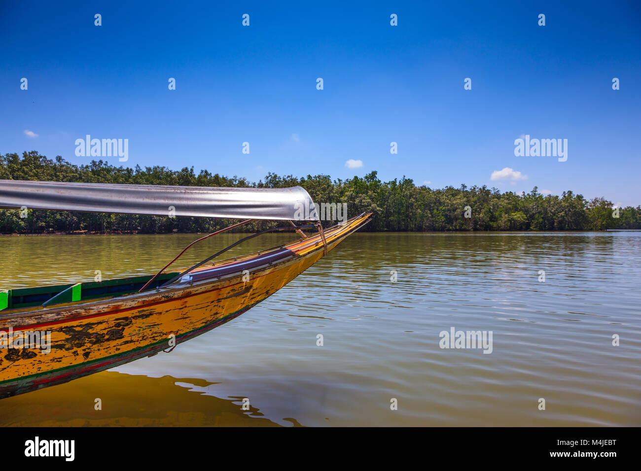 Native to tropical climate hi-res stock photography and images - Alamy