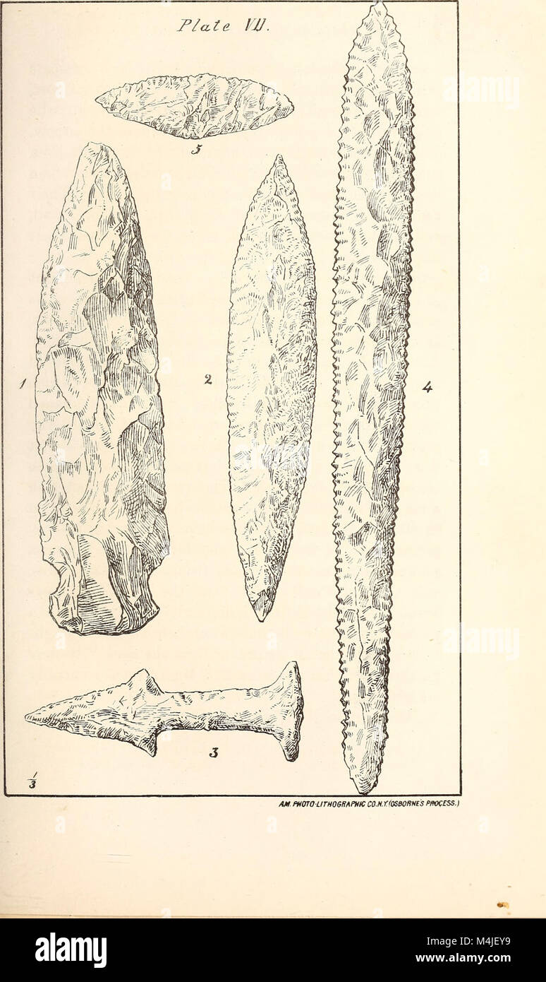 'Antiquities of the Southern Indians' (1873) provides an in-depth study ...