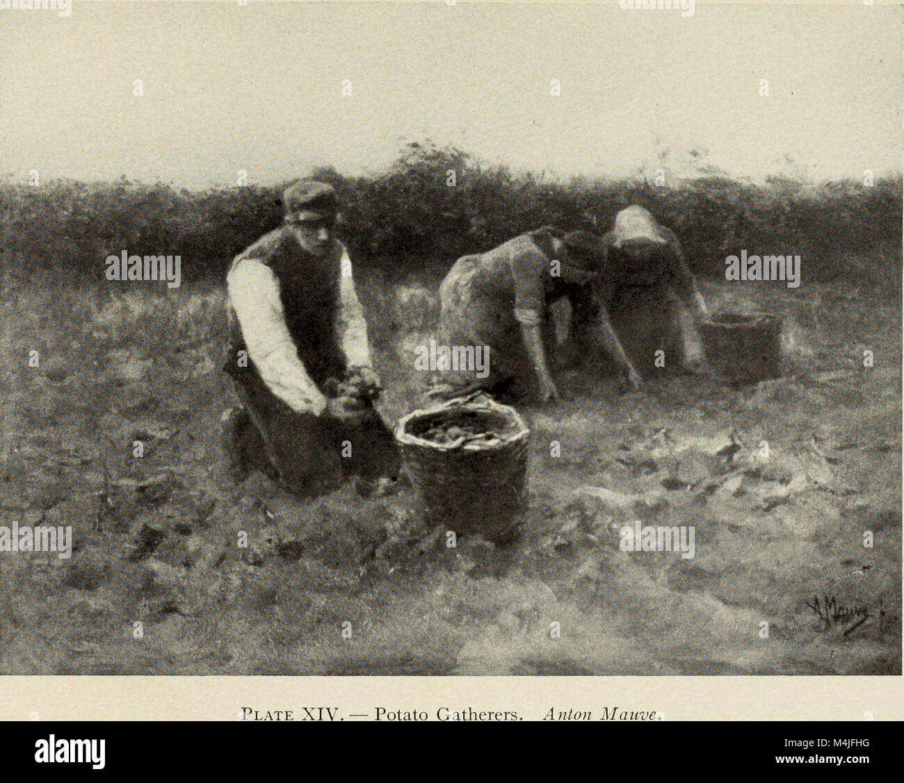 Potato Gatherers High Resolution Stock Photography and Images - Alamy
