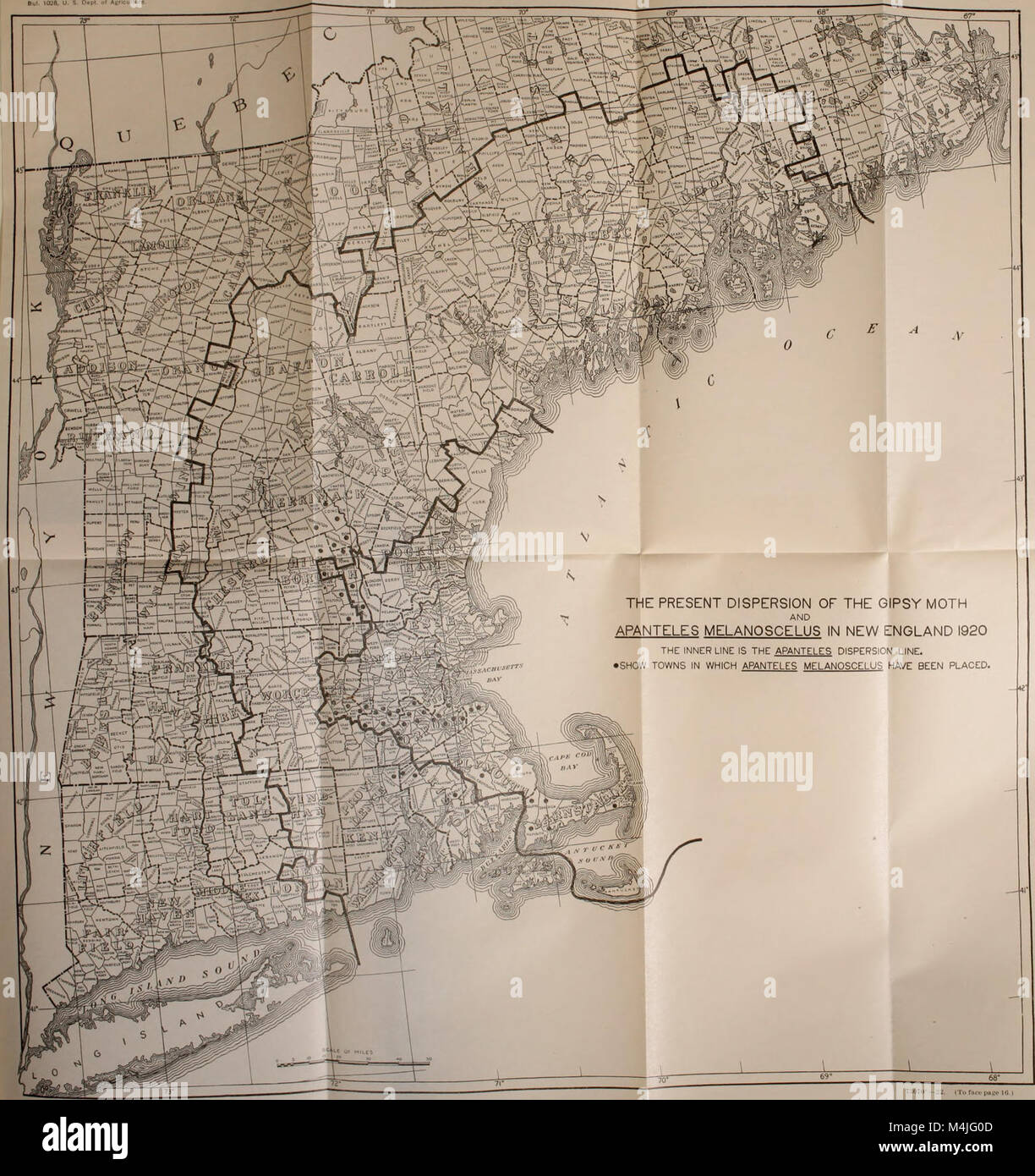 The 1922 study on Apanteles melanoscelus examines its role as a ...