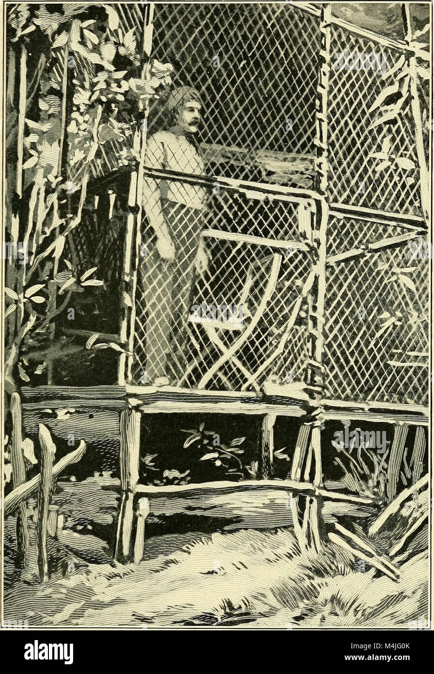 This 1900 publication examines the behaviors, communication, and social ...