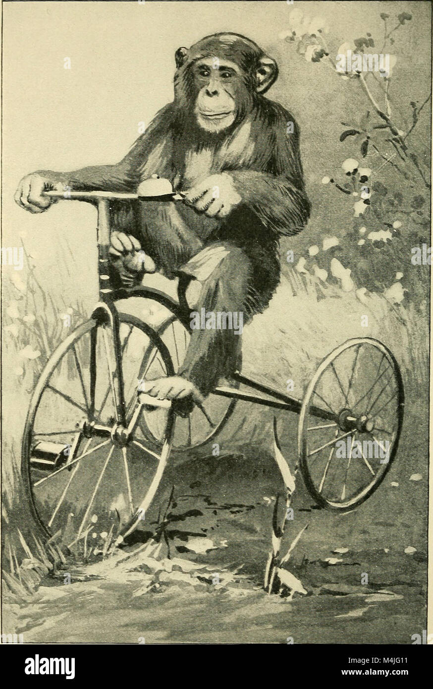 This 1900 publication explores the behavior, social structure, and ...