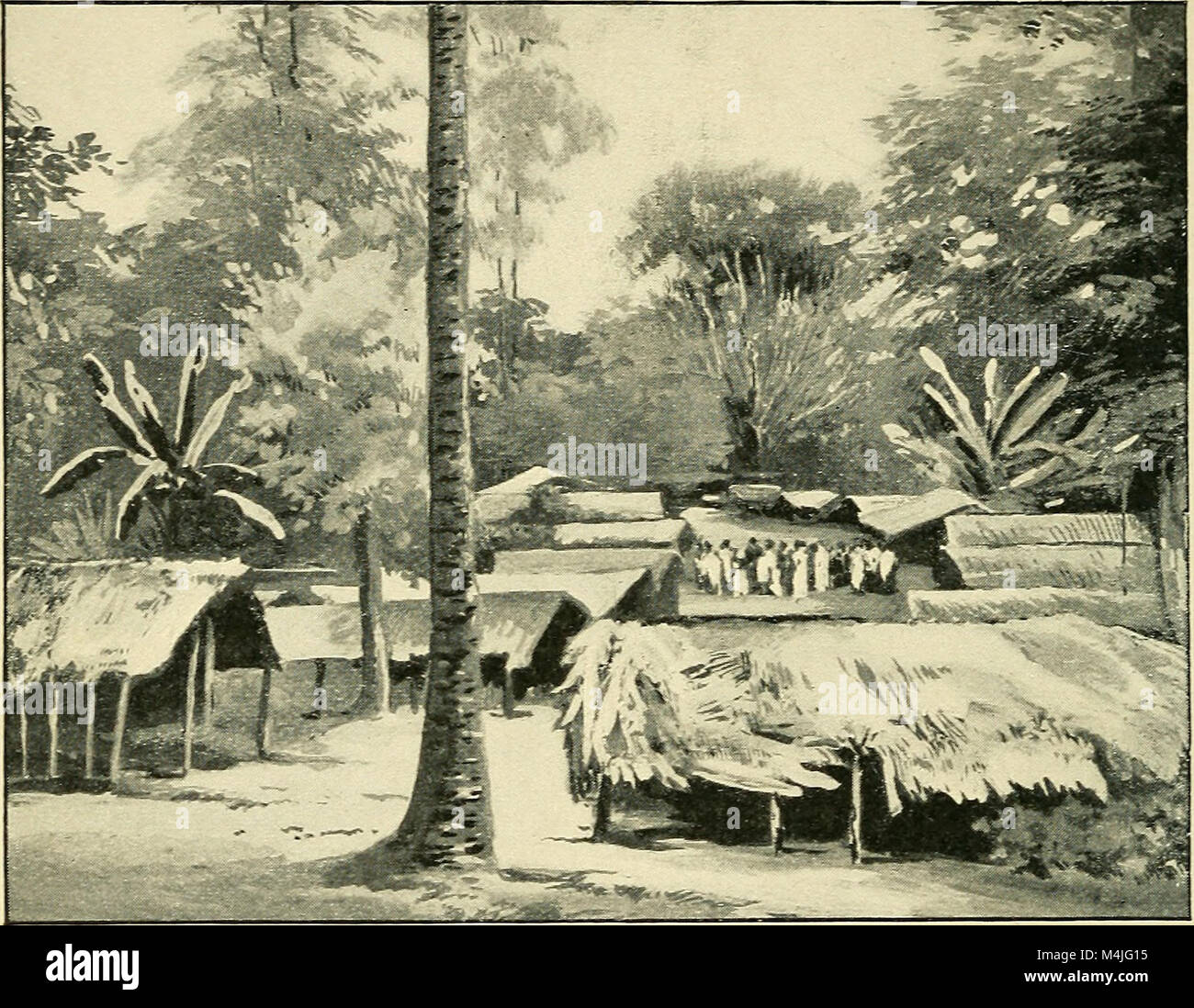 'Apes and Monkeys: Their Life and Language' (1900) explores the ...